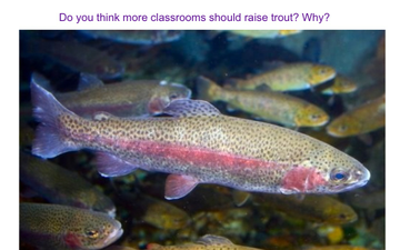 Trout In The Classroom | Educreations