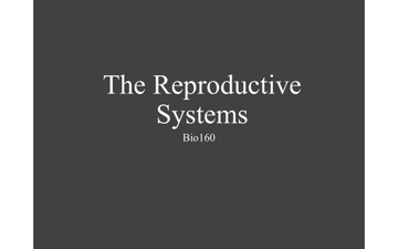 Reproductive System Lecture Video 1 Educreations