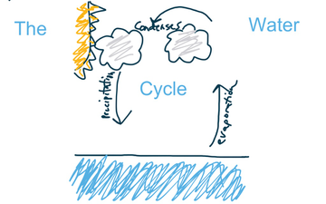 The Water Cycle - Plastic Bag Investigation | Educreations