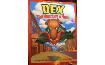 Dex: The Heart Of A Hero Vocabulary | Educreations