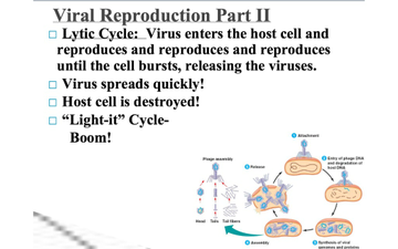 Viruses Part II: Viral Reproduction | Educreations