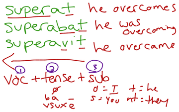 Stage 6 Verb Tenses | Educreations