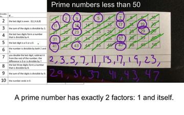 Prime Numbers Under 50 | Educreations