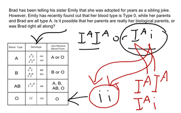 Incomplete dominance Vs Codominance | Educreations