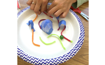 STEM Paper Plate Marble Run | Educreations