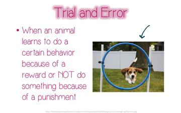 Animal Behavior Part 1: Learned Behaviors | Educreations