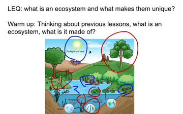 Complete Ecosystem | Educreations