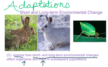 Short and Long Term Environmental Change, Adaptations Notes | Educreations