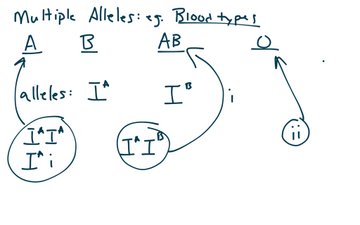 Simple Genetics Inheritance | Educreations