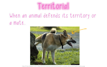 Animal Behavior Part 1: Innate Behaviors | Educreations