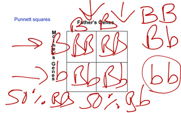 Punnett Squares | Educreations