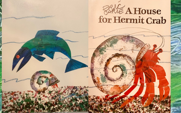 #312 A House for Hermit Crab by Eric Carle | Educreations