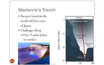 Deep Sea Video Notes | Educreations