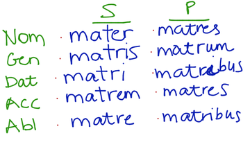 3rd Declension Latin Nouns | Educreations