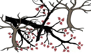 Branch Sentences (Parallel Structure) | Educreations