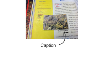 Nonfiction Text Features | Educreations