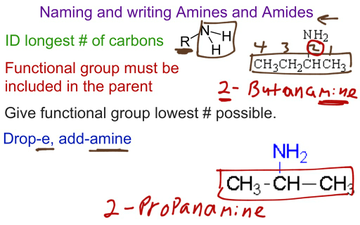 #43 Naming and writing Amines And Amides | Educreations