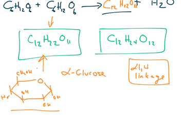 Biochem Molecules One | Educreations
